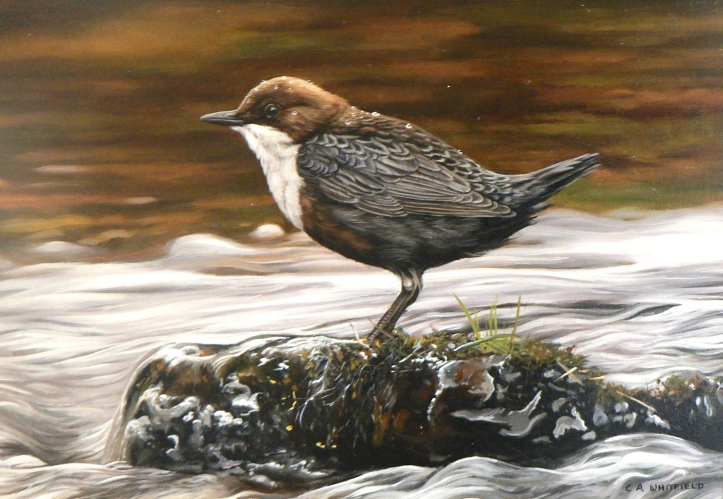 Carl Whitfield Paintings for Sale | Fitzwilliam Gallery