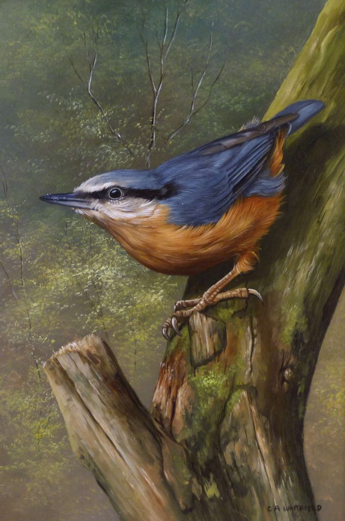 Carl Whitfield Paintings for Sale | Fitzwilliam Gallery
