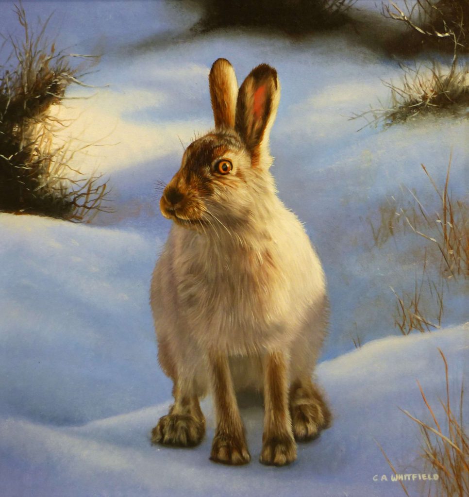 Carl Whitfield Paintings for Sale | Fitzwilliam Gallery